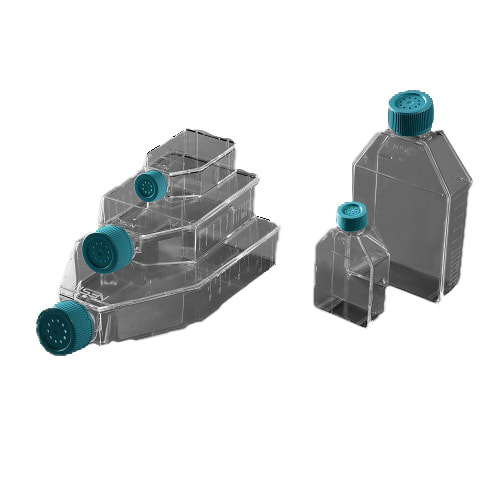 Flask Cell Culture 225cm2 Vent TC Sterile Cs/25 - Myriad Industries